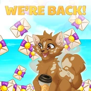 Beans | Castle Cats Wiki | Fandom