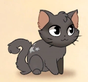 Barry | Castle Cats Wiki | Fandom