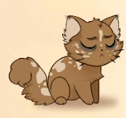 Kawa | Castle Cats Wiki | Fandom