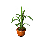 Yucca | Castle: Dangerous game Wikia | Fandom