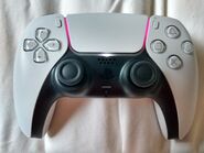 Conehead | Castle Crashers Wiki | Fandom