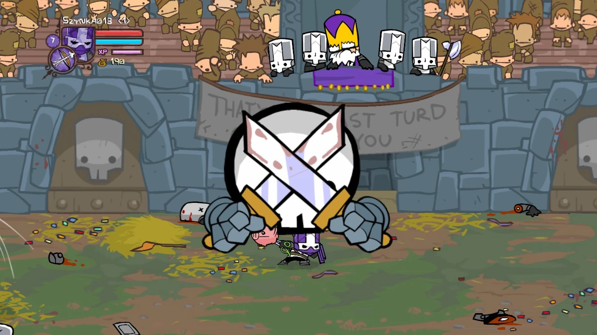 King's Arena | Castle Crashers Wiki | Fandom
