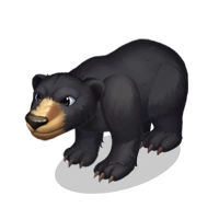 Black Bear | Castle Story Guide Wiki | Fandom