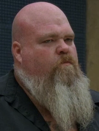 Roland D'Andre | Castle Wiki | Fandom