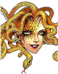 Medusa Head Castlevania