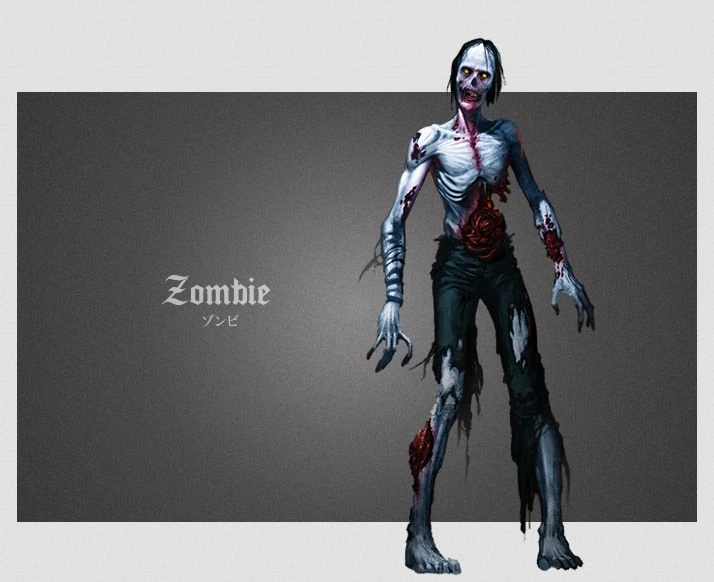 Castlevania Sypha Mirror Of Fate