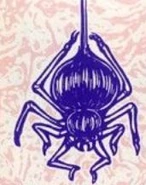 Giant Spider | Castlevania Wiki | Fandom
