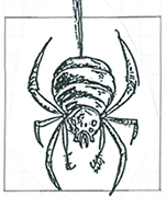 Giant Spider | Castlevania Wiki | Fandom