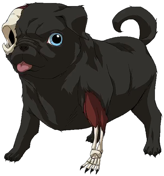 Cezar | Castlevania Wiki | Fandom