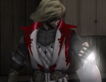 Magic Gauntlet | Castlevania Wiki | Fandom