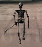 Skeleton/Gallery | Castlevania Wiki | Fandom