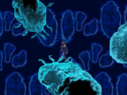 Kalidus Channel | Castlevania Wiki | Fandom