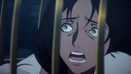 Thyme | Castlevania Wiki | Fandom