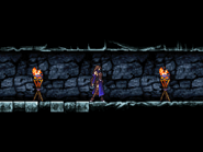 Kalidus Channel | Castlevania Wiki | Fandom