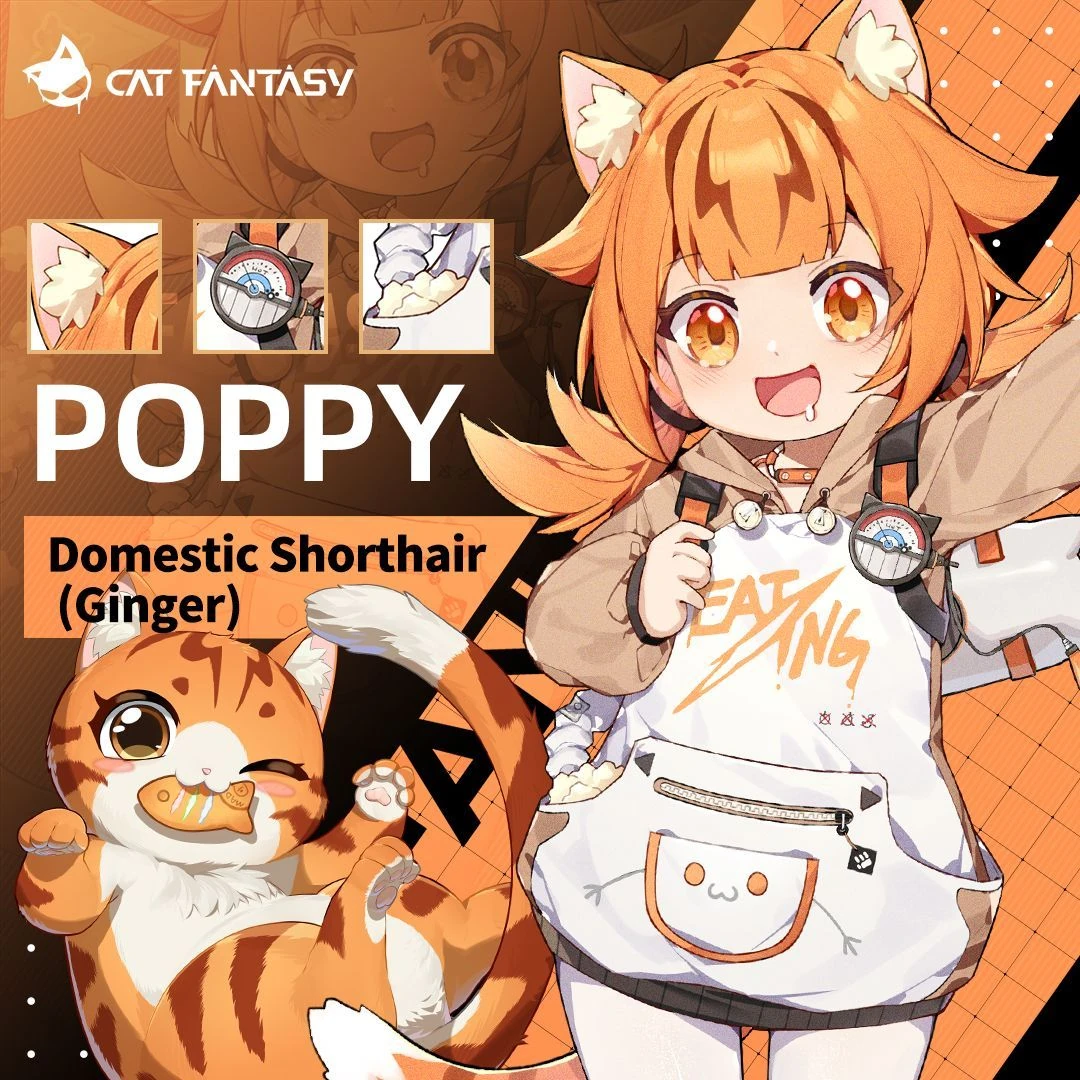Poppy | Cat fantasy Wiki | Fandom