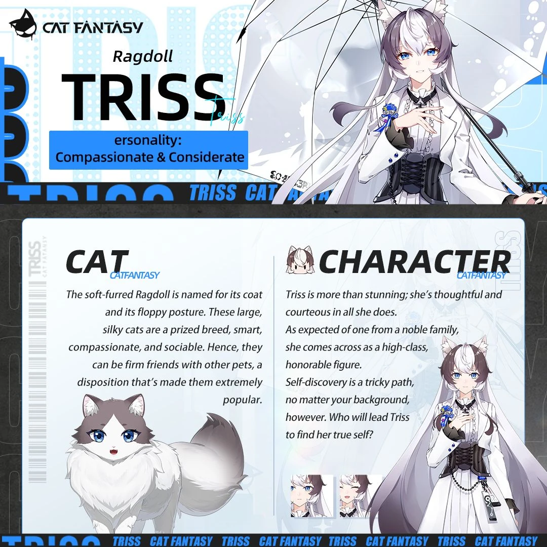 Triss | Cat fantasy Wiki | Fandom