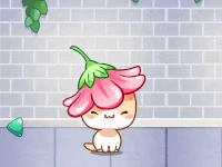 Primrose | Cat Game - The Cat Collector! Wiki | Fandom