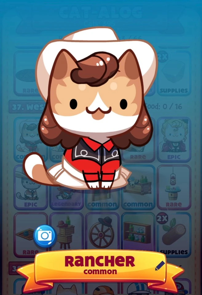 Category:Rooms | Cat Game - The Cat Collector! Wiki | Fandom