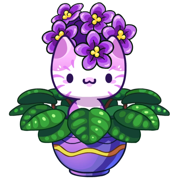 American Violet | Cat Game - The Cat Collector! Wiki | Fandom