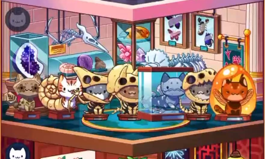 Museum | Cat Game - The Cat Collector! Wiki | Fandom