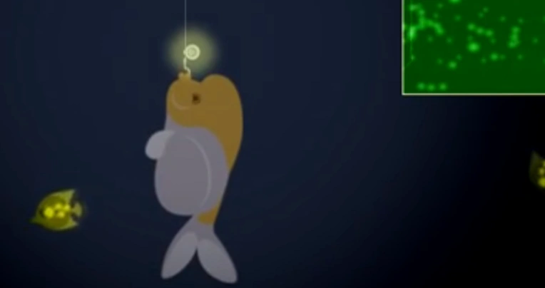 Torby | Cat Goes Fishing Wikia | Fandom