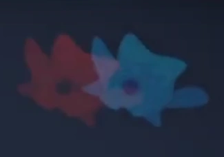 Phase | Cat Goes Fishing Wikia | Fandom