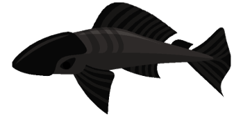 Underfin | Cat Goes Fishing Wikia | Fandom