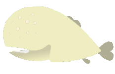 Old Cusper | Cat Goes Fishing Wikia | Fandom