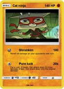 HIDDEN GALLERY | Cat Ninja Wiki | Fandom