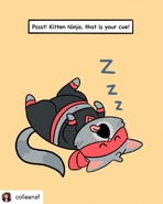 Kitten Ninja | Cat Ninja Wiki | Fandom