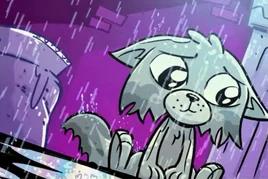 Cat Ninja | Cat Ninja Wiki | Fandom