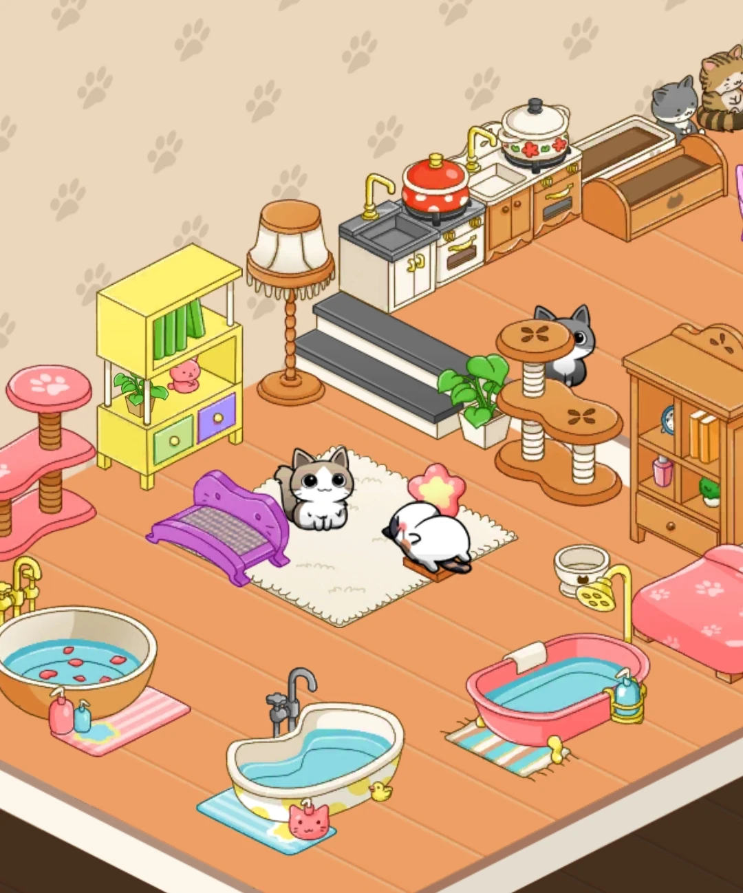 Room | Cat Room Wiki | Fandom
