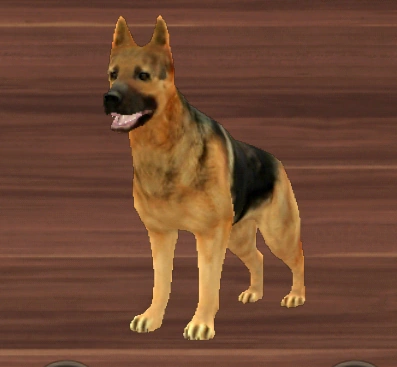 Shepherd | Cat Sim Online: Play with Cats Wiki | Fandom