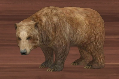 Bear | Cat Sim Online: Play with Cats Wiki | Fandom