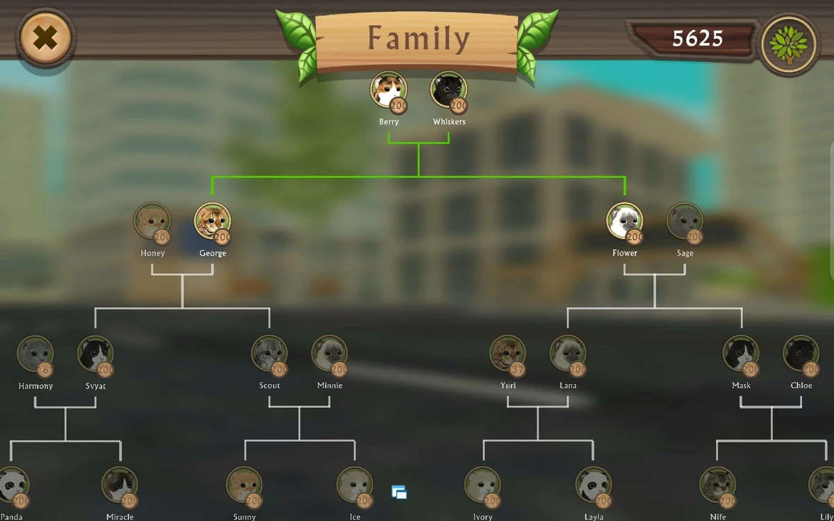 Family tree | Cat Sim Online: Play with Cats Wiki | Fandom