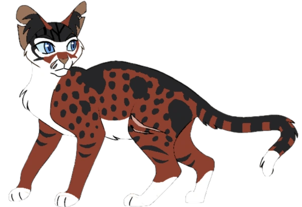 Dragonfly | Cat Tales Wiki | Fandom