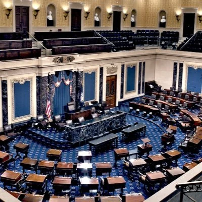 The Cat Senate | Cat Twitter Wiki | Fandom