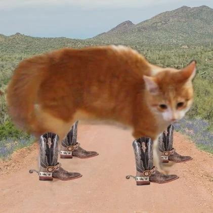 Gonzo | Cat Twitter Wiki | Fandom