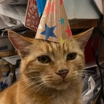 Claude | Cat Twitter Wiki | Fandom