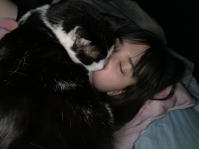 Haley | Cat Twitter Wiki | Fandom