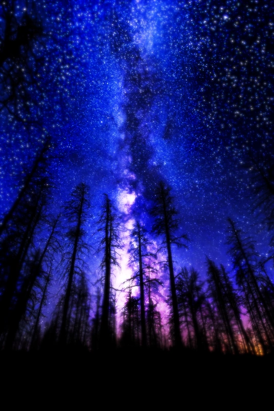 Astral Grove | Catalyst Quest Wiki | Fandom
