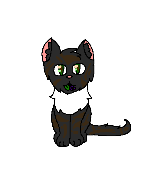 Moleblaze | MidnightClan Wiki | Fandom