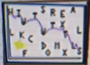 Crow Language | Catastrophe Crow Wiki | Fandom