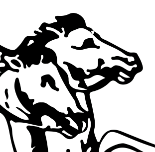 Boat Rocker Media | Catcamedian Wiki | Fandom