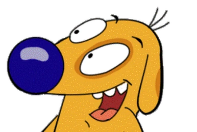 Catdog Na Madraí Greaser Mad Dog Mcrea At Sin City, Swansea On 15 Mar