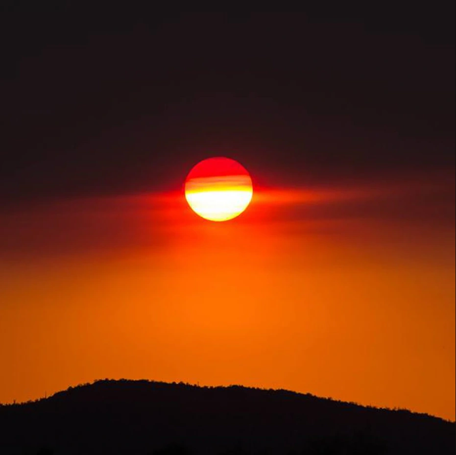 Coax the mouse from his den | Category War Wiki | Fandom