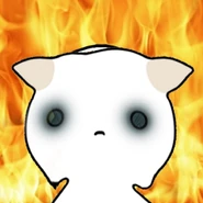 Elon | CatGhost Wiki | Fandom