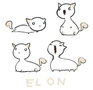 Elon | CatGhost Wiki | Fandom