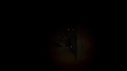 Elon | CatGhost Wiki | Fandom