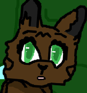 Willowkit | Catimation Wiki | Fandom